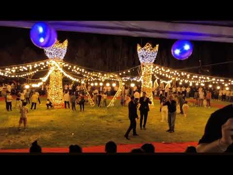 Veysel Badak & Muş Malazgirt Düğün 2025 