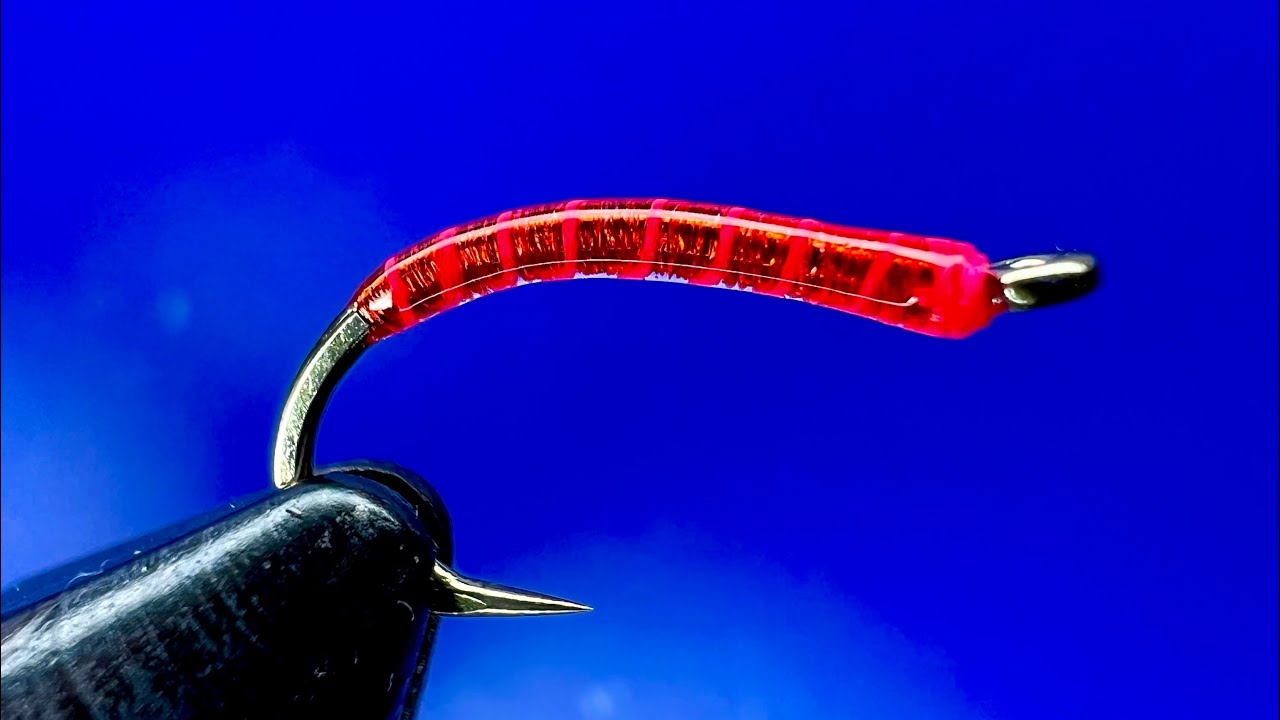 Red Annelid Fly Tying Tutorial San Juan Worm Style Pattern - YouTube