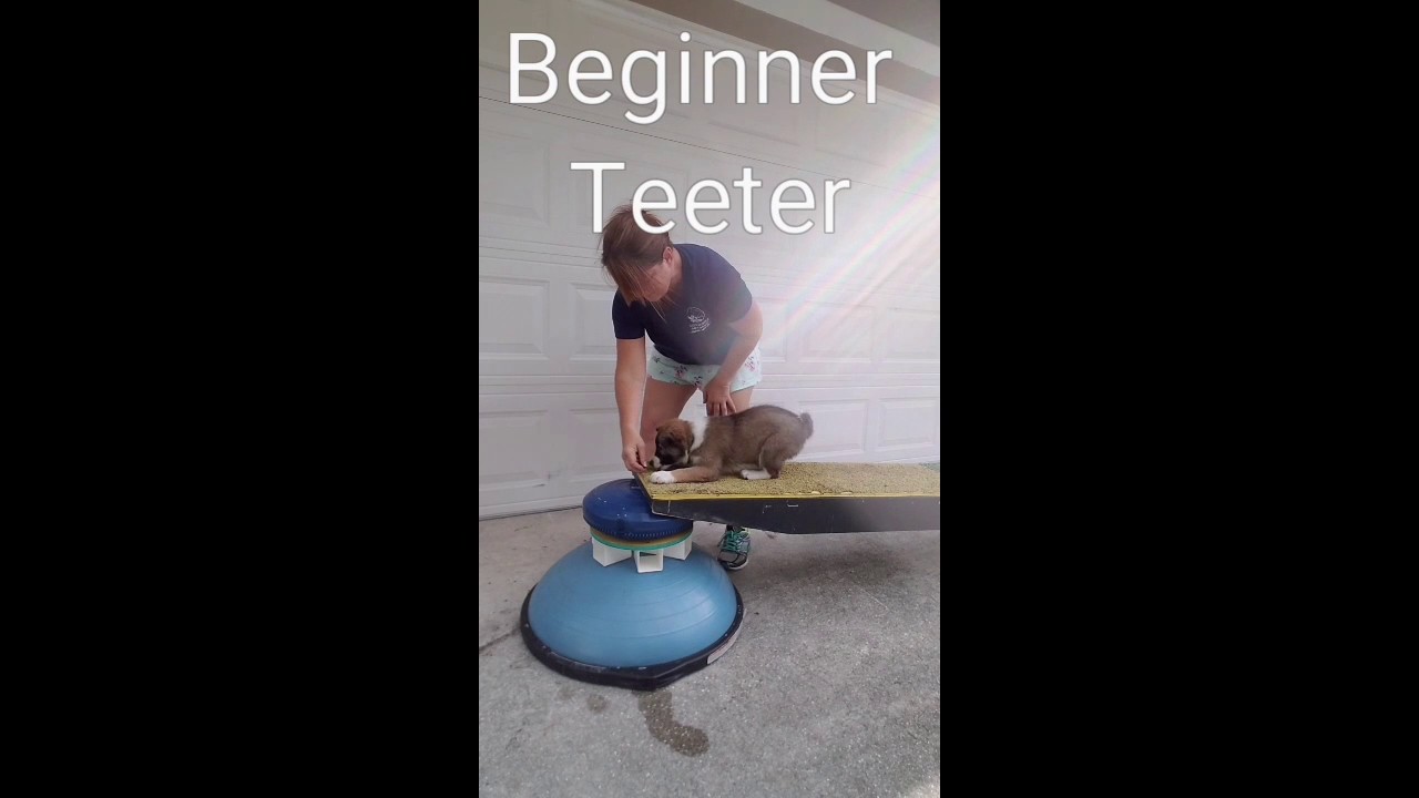 Surge Teeter, Beginner - YouTube