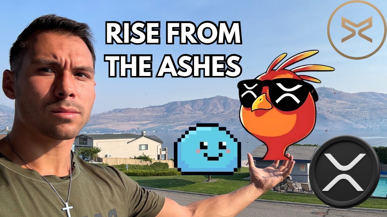 Phoenix $PHNIX is the CHOSEN meme coin of the XRPL! $xrp $FUZZY $DROP ...