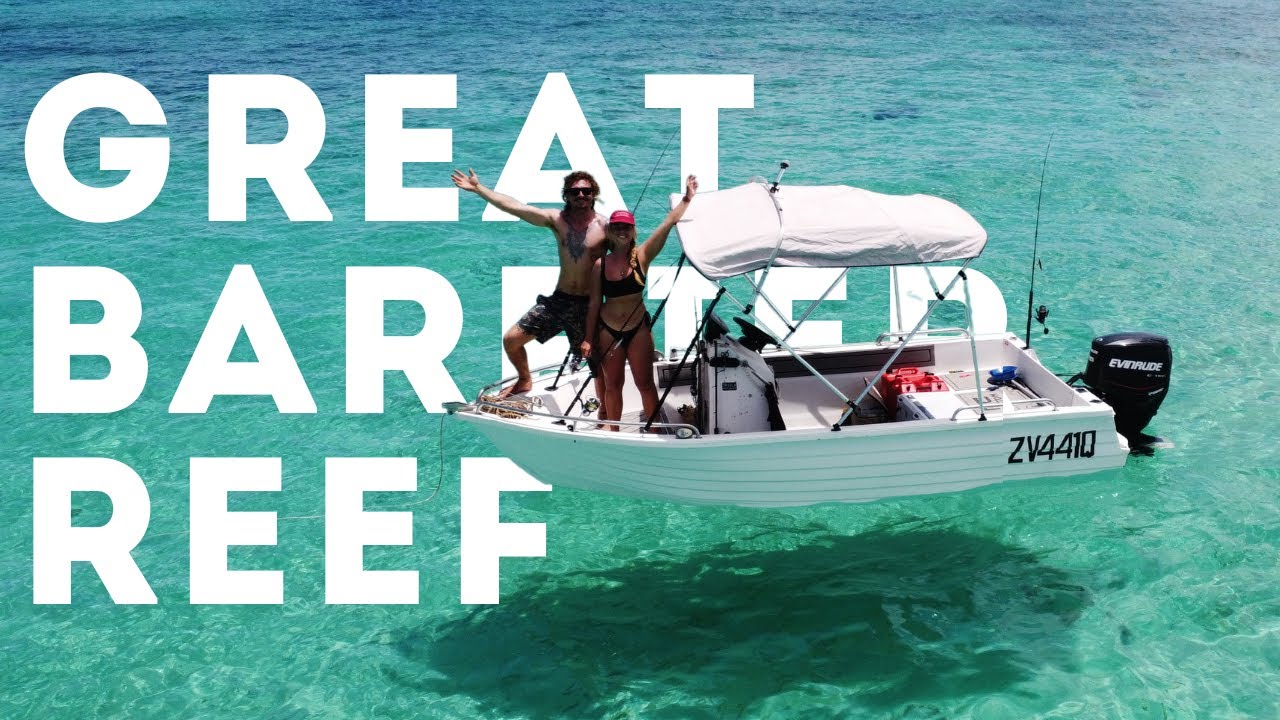 NOMAD Amateur Film Comp | Great Barrier Reef Spearfishing | What ...