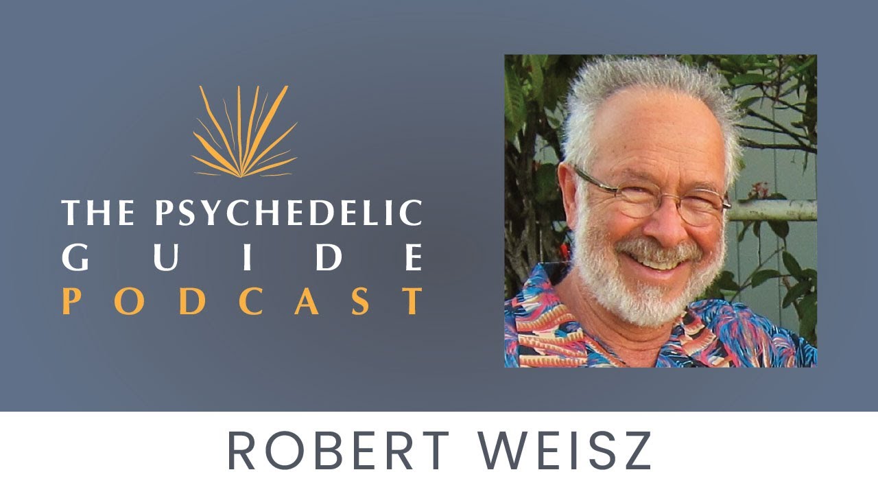 Robert Weisz (Pt. 1) | Hypnosis and Trance in Psychedelic Sessions ...