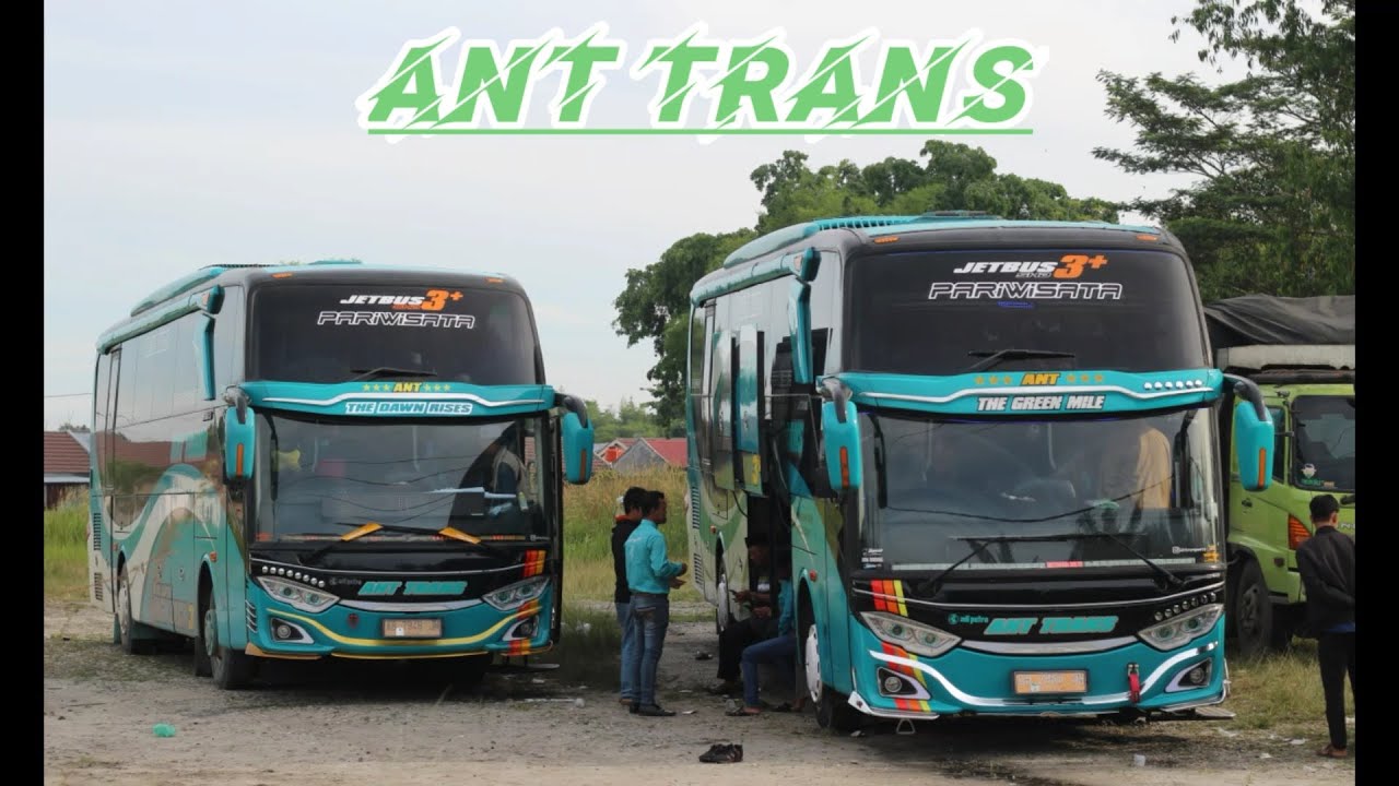 ANT TRANS // BUS JOGJA // PARIWISATA - YouTube
