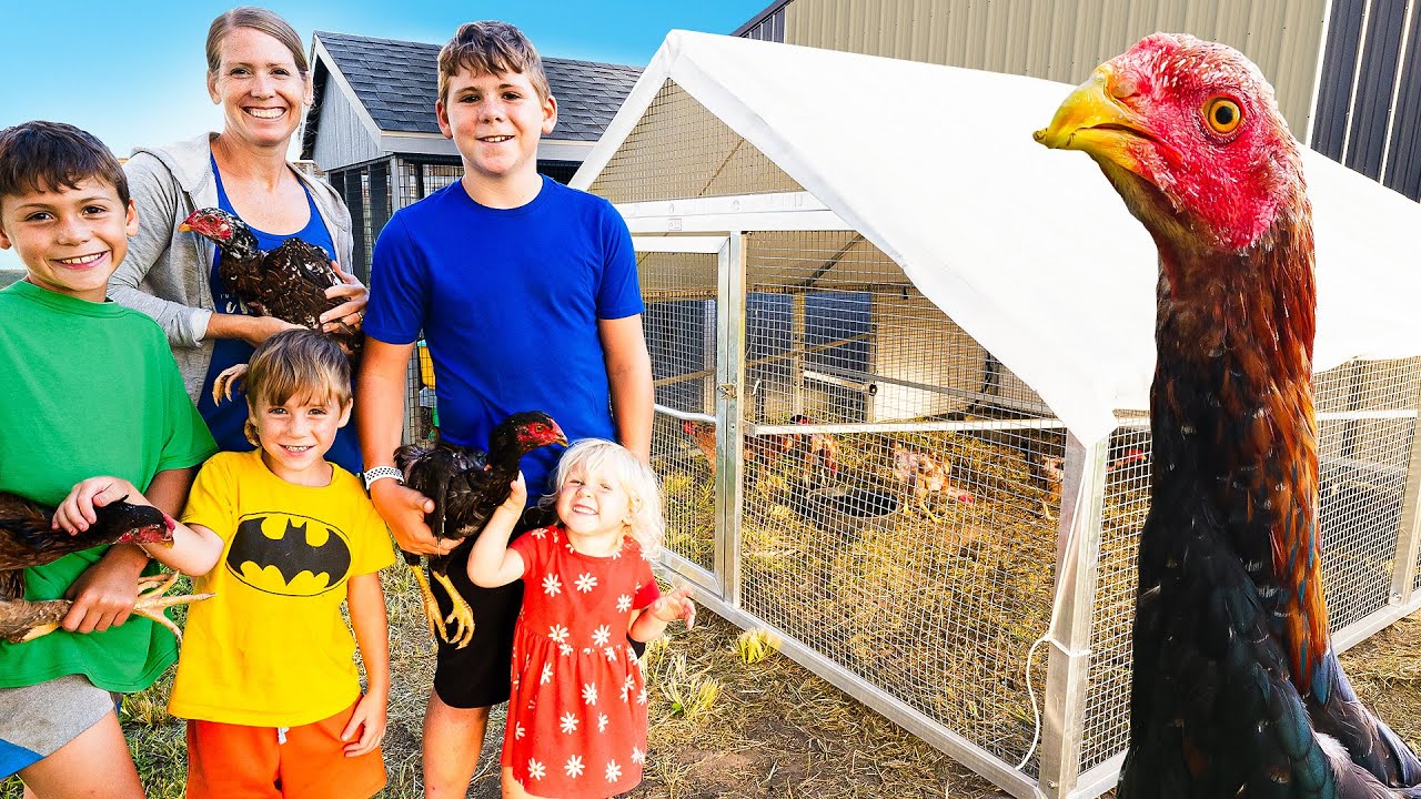 Nuestro Nuevo Gallinero para las Gallinas más Altas del Mundo - YouTube