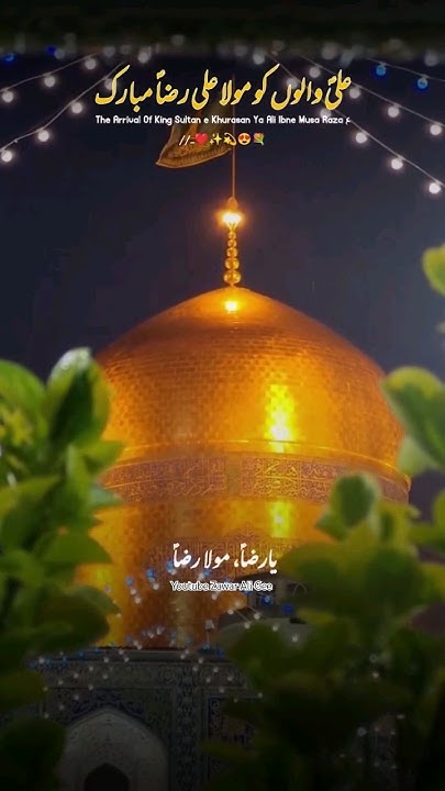 11 Zilqad Wiladat Imam Ali Raza Mubarak 🌹♥️ | Mery Mola Raza | WhatsApp Status_shia status ...