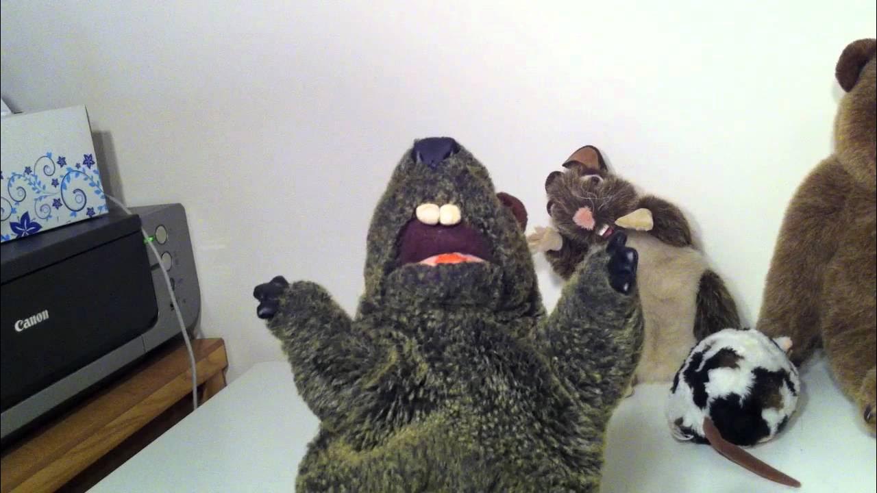 Groundhog Day is Here - Featuring Mr. Groundhog and Friends - YouTube