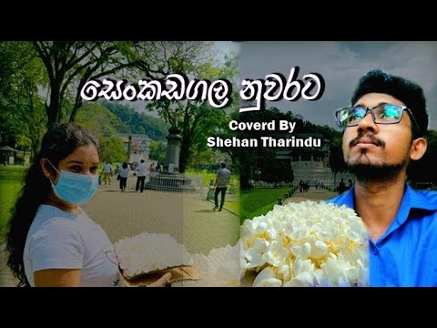 සෙංකඩගල නුවරට | Senkadagala Nuwarata| Cover | Shehan Tharindu - YouTube