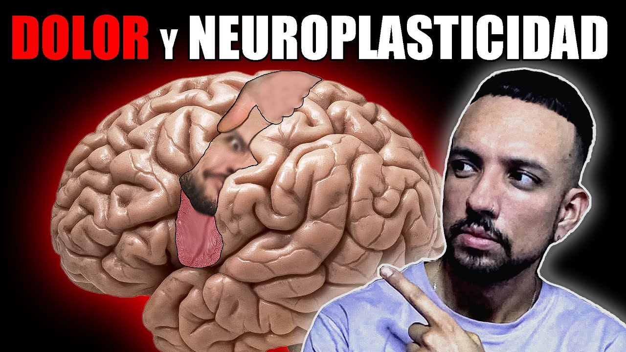 BRAIN SMUDGING 🧠 ASÍ CAMBIA TU CEREBRO CUANDO TIENES DOLOR PERSISTENTE ...
