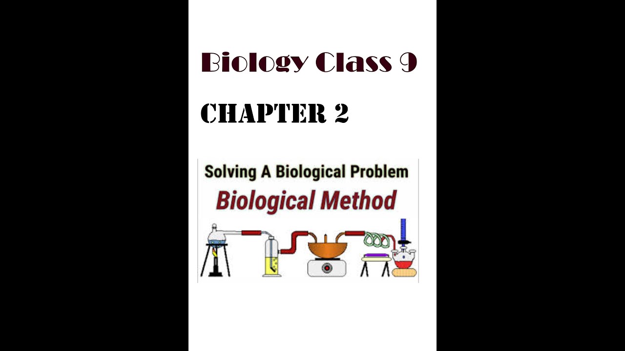 Solving A Biological Problem | Biology | Class #9 | Biological Method ...