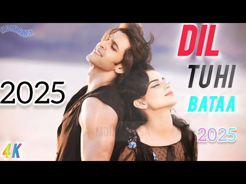 Dil Tu Hi Bataa Full Song with Lyrics |Krrish 3Video /#MDIMRANSA/Hrithik Roshan, Kangana