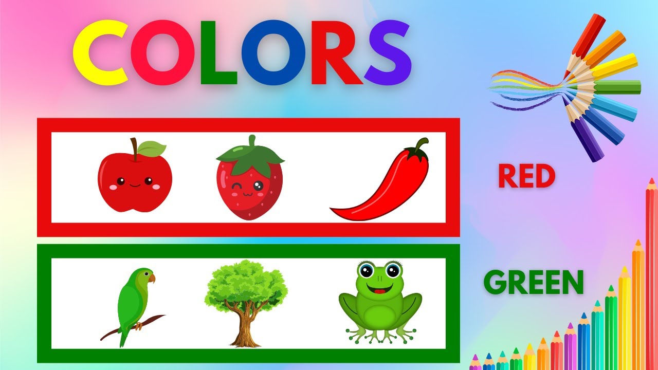 Learn Colors | Learn colors with objects | Educational video for kids ...
