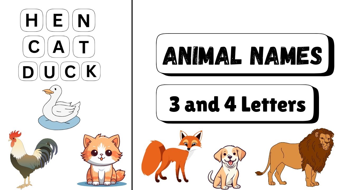 Animal Names || 3 and 4 Letters || With Spellings || For Kids And ...