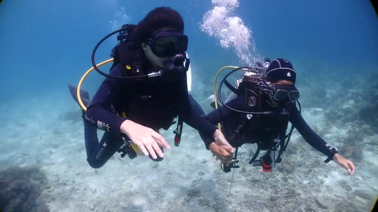 Philippine Fun Divers Discover Scuba Diving - YouTube