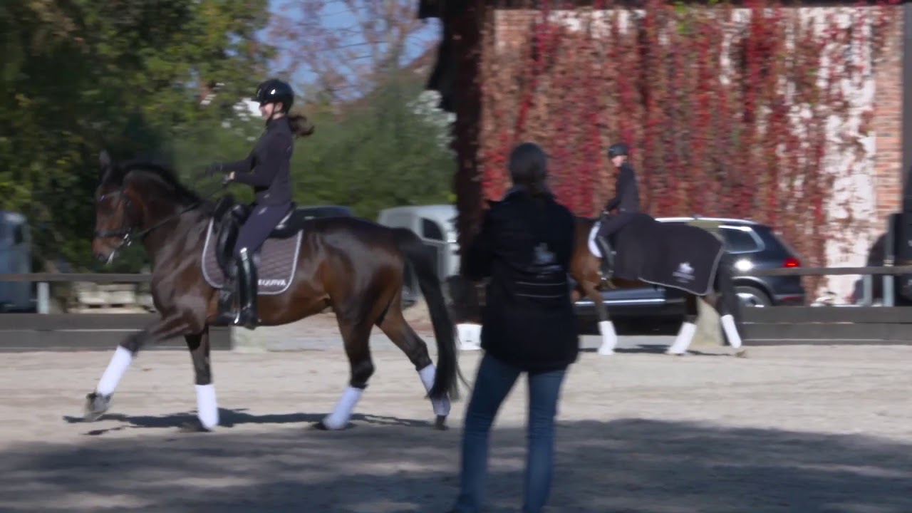 Reiten - Nicole Uphoff-Selke Nachwuchsförderung - Training mit Lara ...