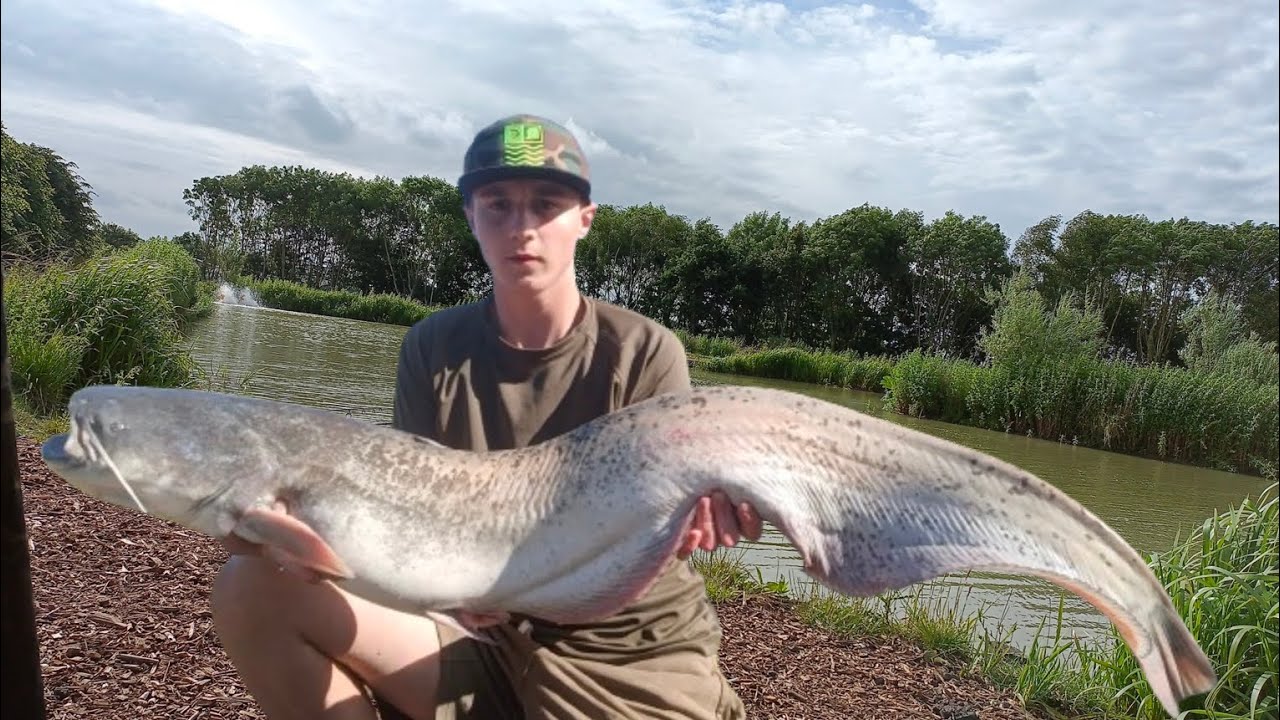 30+ fish landed! 48hrs at Coking Farms, Alder Lake. - YouTube