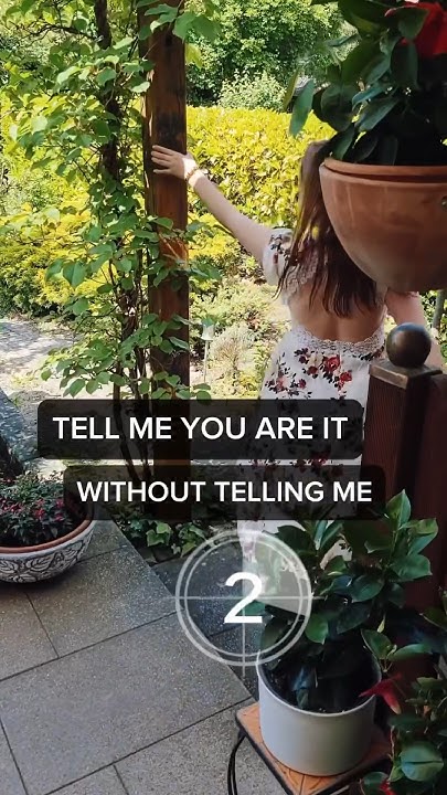 Tell me you’re programmer without telling me you’re from IT #funnyvideo #germany - YouTube