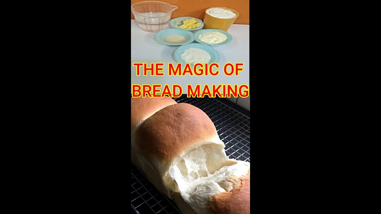 THE MAGIC OF EASY BREAD MAKING | HOMEMADE BREAD FOR BEGINNERS - YouTube