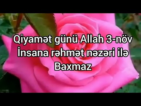 Status üçün 💕🕊️DİNİ VİDEO💕🕊️ Qiyamət günü Allah 3-növ insana rəhmət nəzəri ilə baxmaz💕🕊️