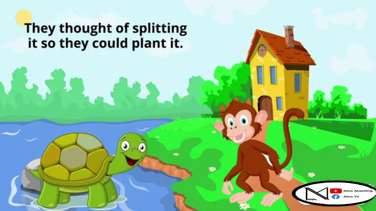 Part 1 I The Monkey and The Turtle I NinxTV - YouTube