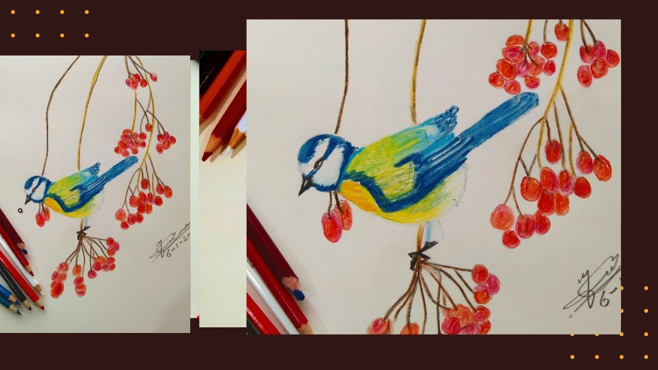 How to draw a beautiful Bird 🐦 - YouTube