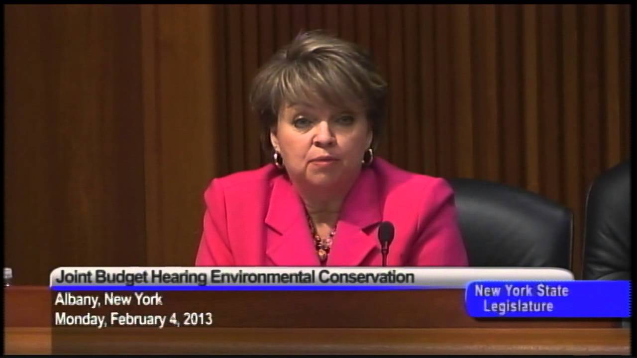 Senator Patty Ritchie comments at the Environmental Conservation Joint ...