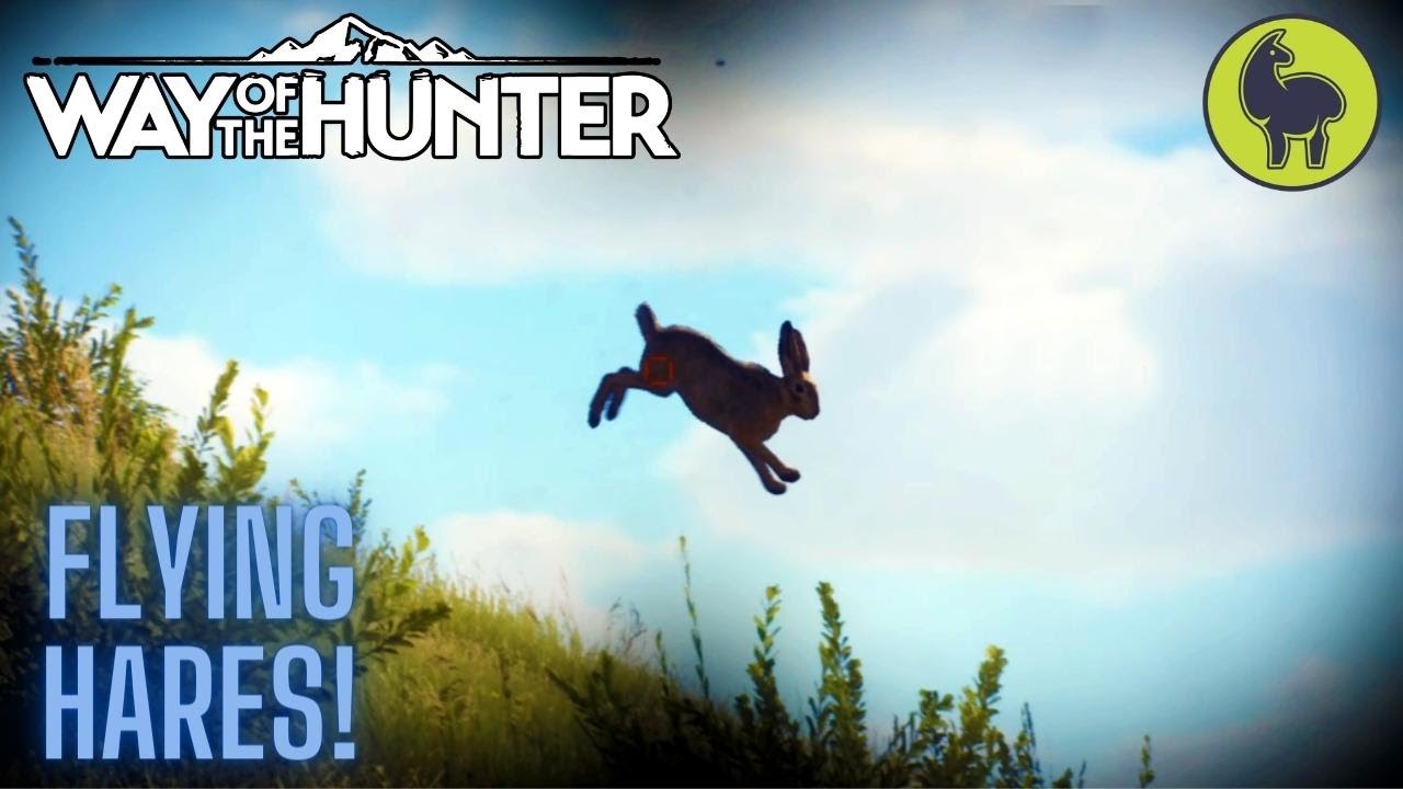 Flying Hares! Transylvania | Way of the Hunter (PS5 4K) - YouTube