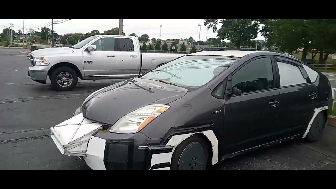 Champrius (in the wild!) - YouTube