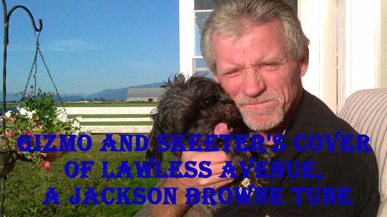 GIZMO - LAWLESS AVENUE - JACKSON BROWNE AND JORGE CALDERON COVER - YouTube