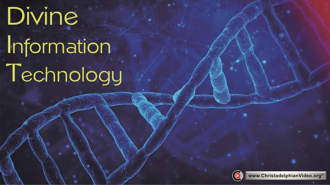 Divine IT (Information technology) - YouTube