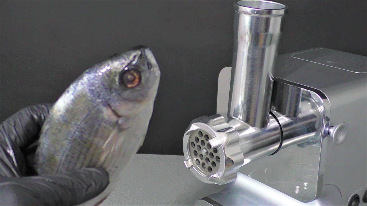 EXPERIMENT:MEAT GRINDER VS RAW FISH - YouTube