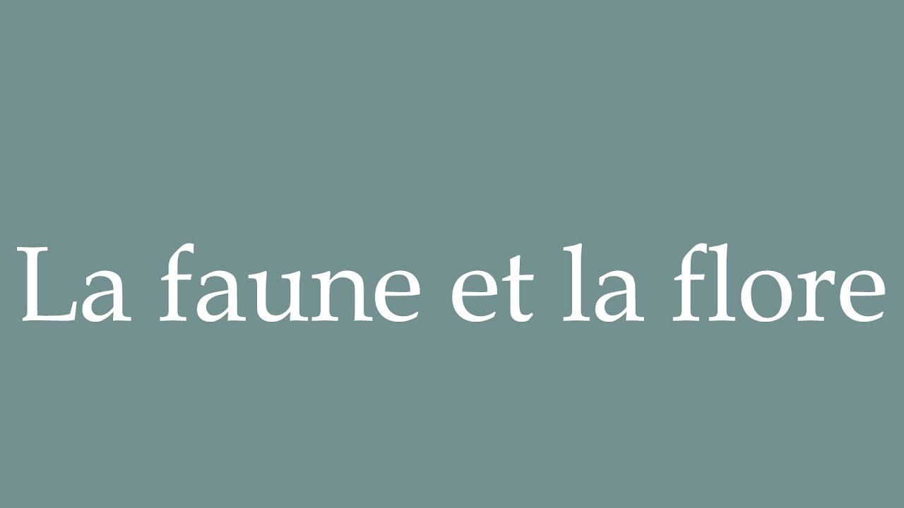 How to Pronounce ''La faune et la flore'' (Fauna and flora) Correctly ...