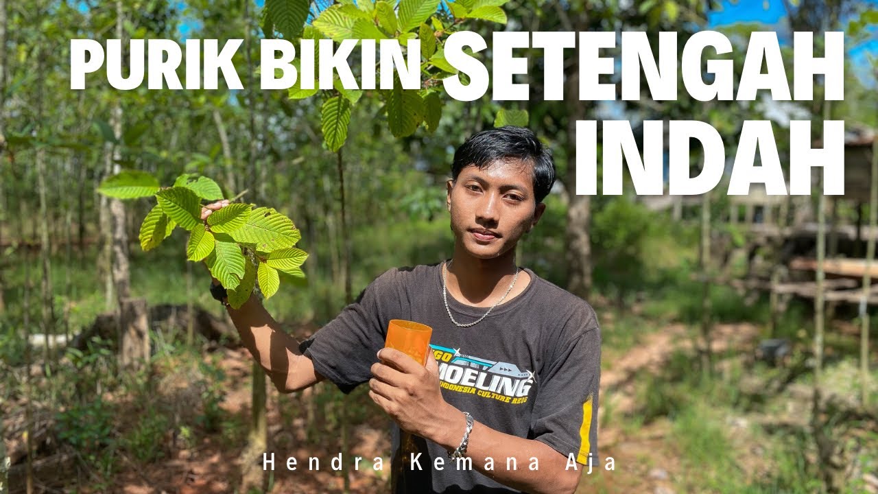 PURIK !!! PEMBUATAN JAMU TRADISIONAL - YouTube