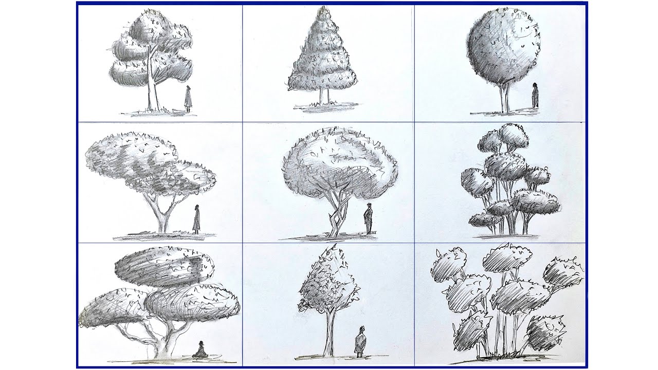 Beautiful Tree Scenery Drawing || 09 Different Trees Drawing Tutorial ...
