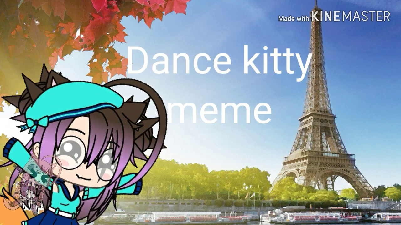 Dance Kitty meme || original || +new outro - YouTube
