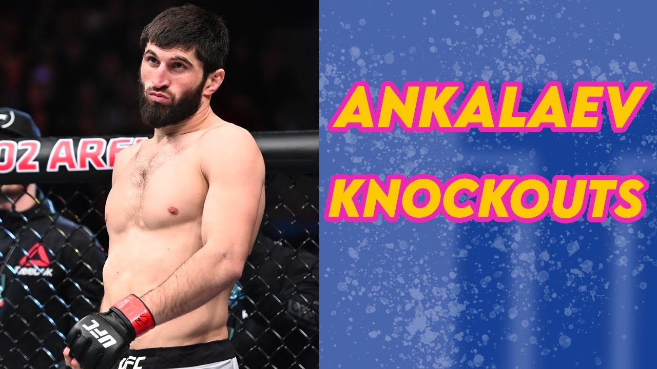 3 Minutes of Magomed Ankalaev's Excellent Timing - YouTube