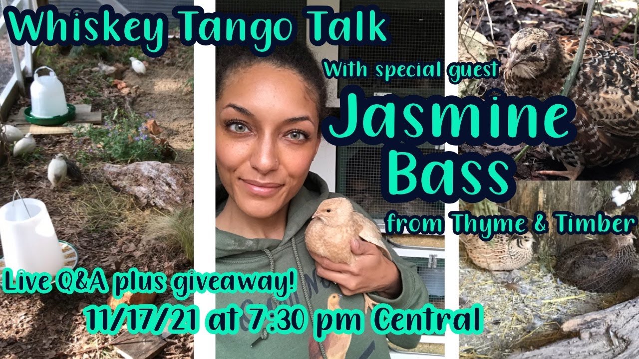 Whiskey Tango Talk Live Q&A with special guest JASMINE BASS + GIVEAWAYS ...