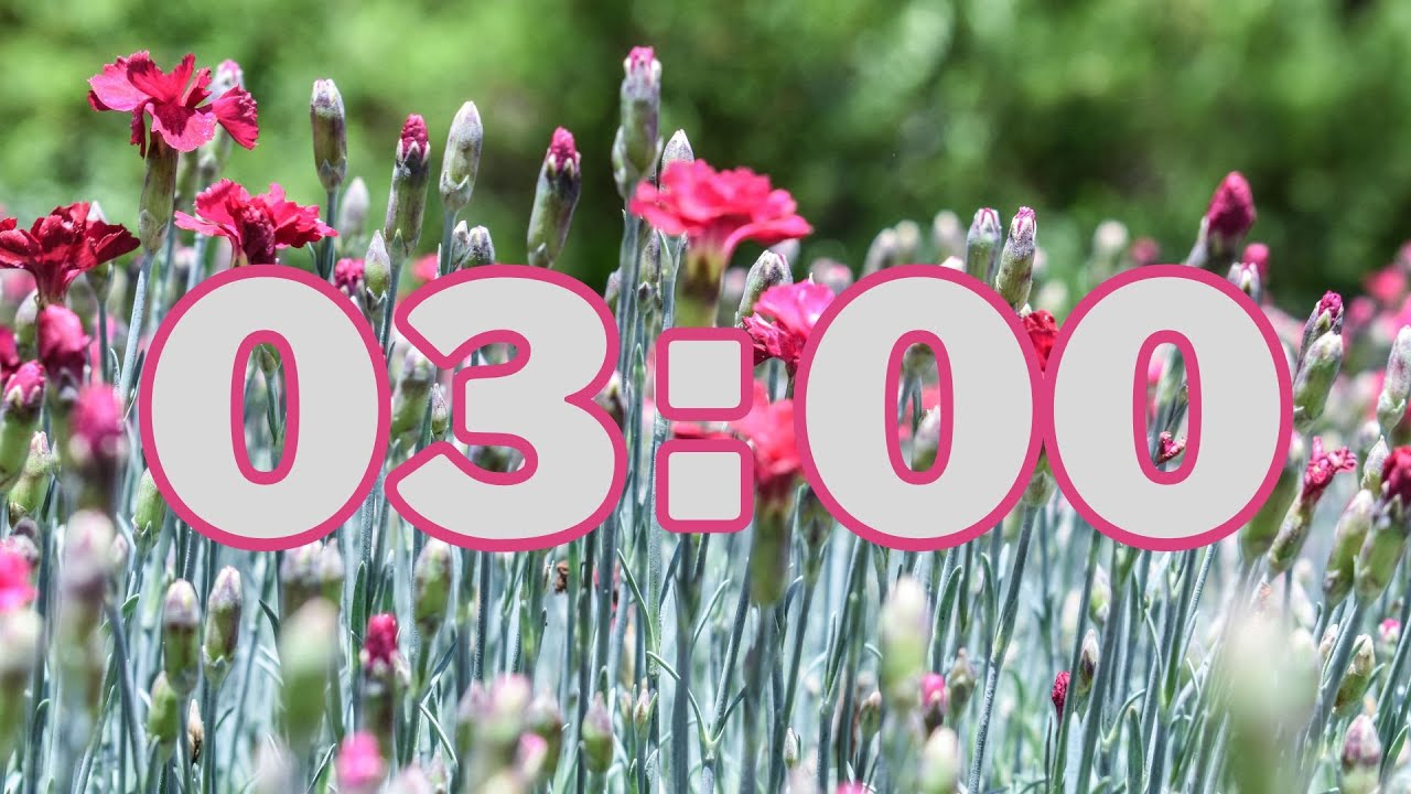 3 Minute Countdown Timer with Relaxing Music - YouTube