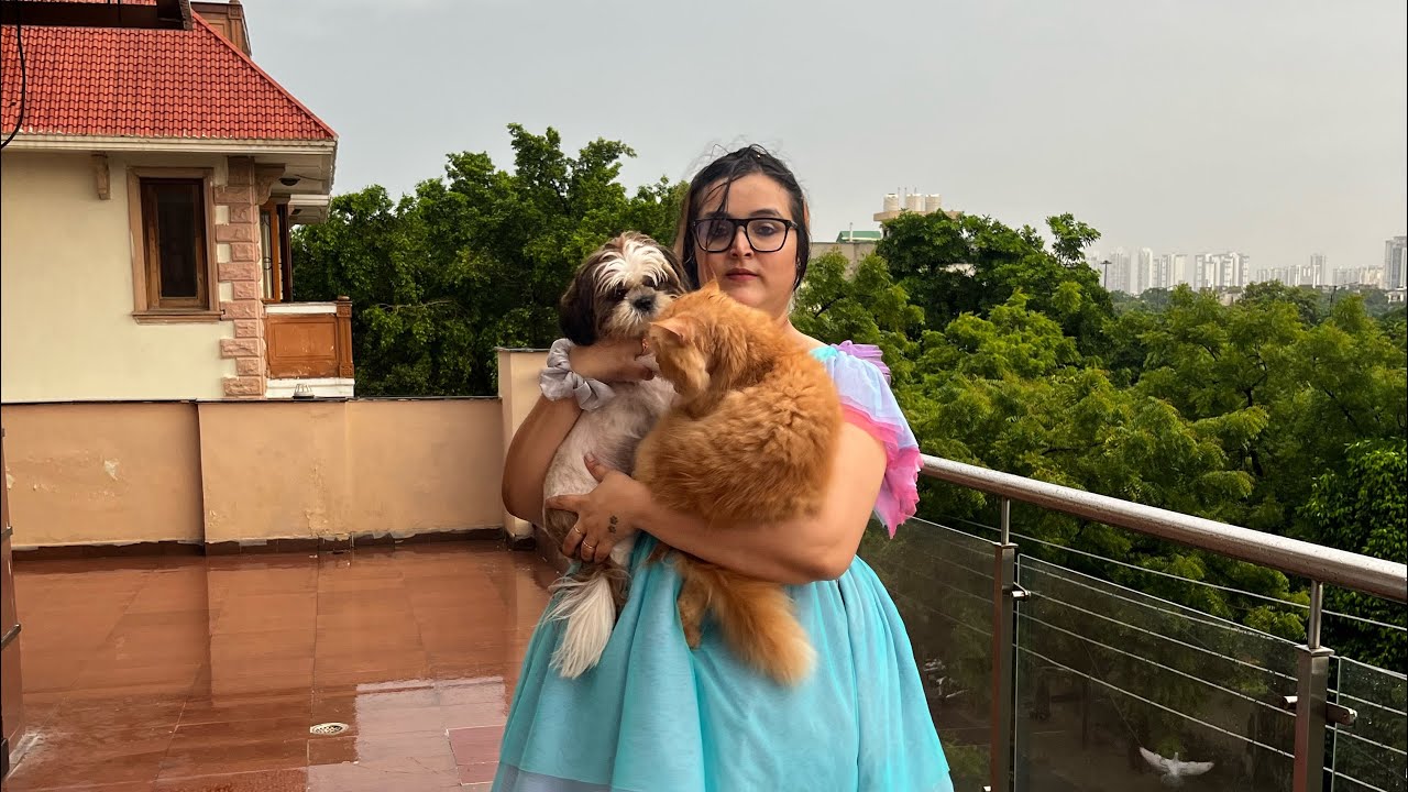 Coco Laila ki grooming sath me ♥️#fun #cocolove #dog #pets #puppy # ...