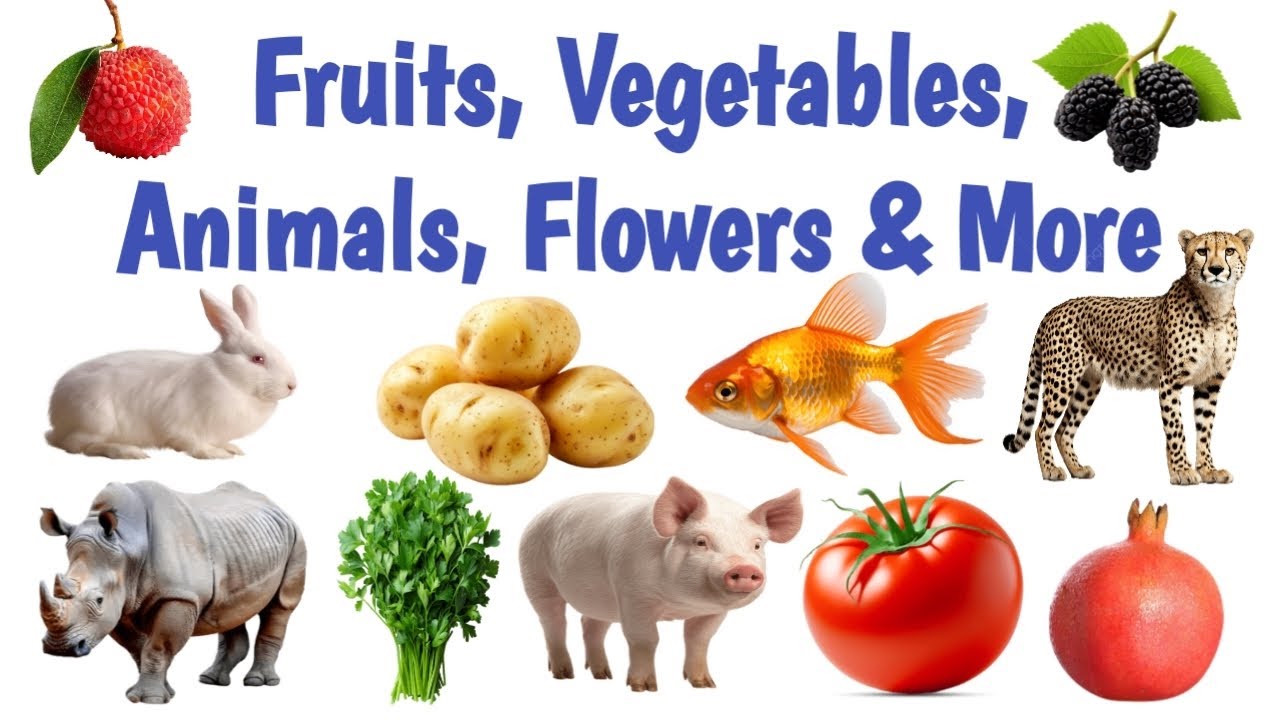 Fun Learning for Kids | Fruits, Vegetables, Animals(Domestic/Wild/Water ...
