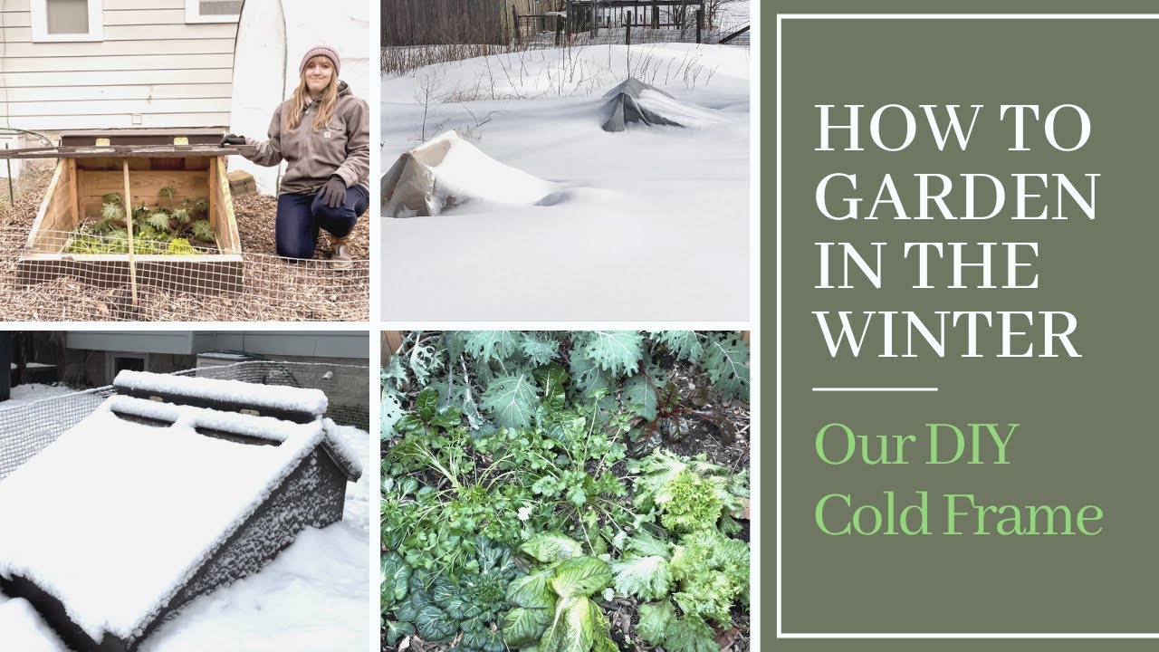 How to Garden in the Winter | Our DIY Cold Frame - YouTube