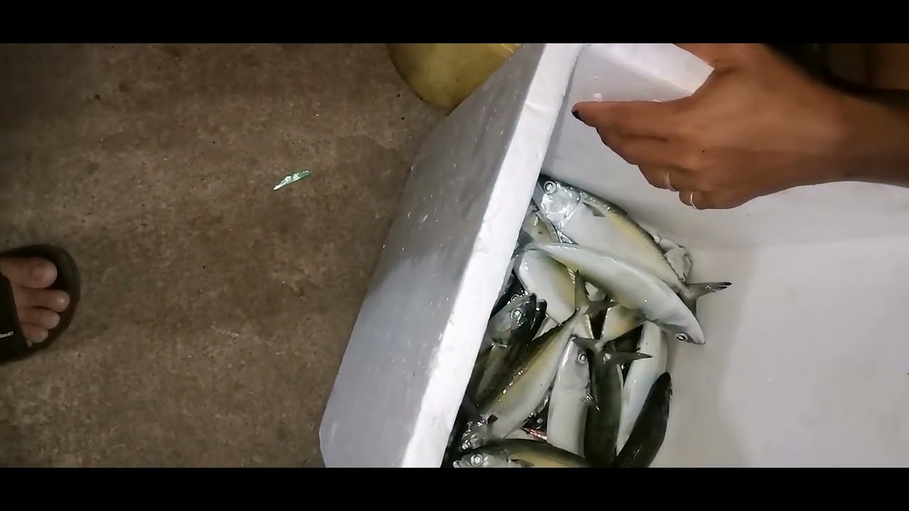 fresh na isda - YouTube