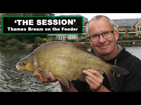 'The Session' Thames Bream on the Feeder