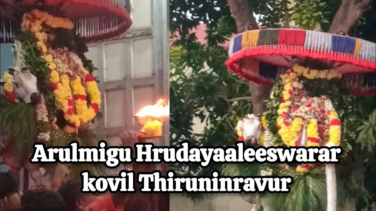 Hrudayaaleeswarar Temple Thiruninravur 🙏 - YouTube