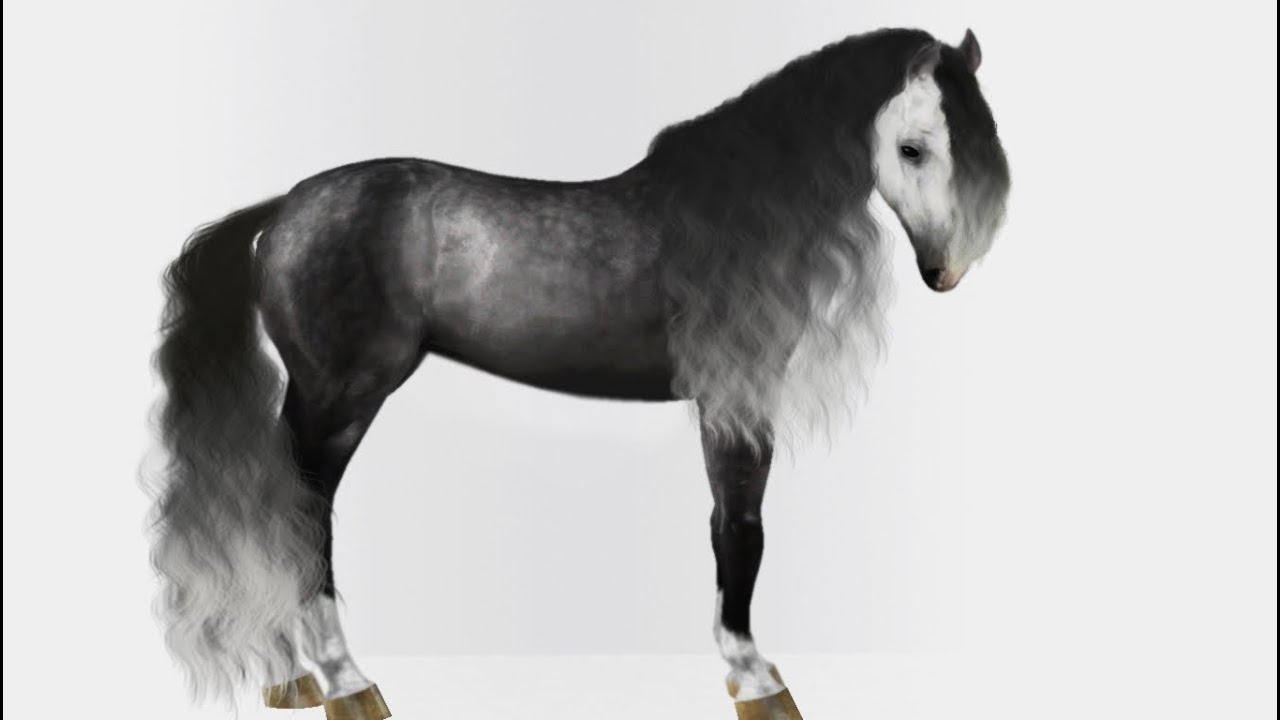 DIE PFERDE UND DAS TEAM I Sims 3 Pferde/Horses - YouTube