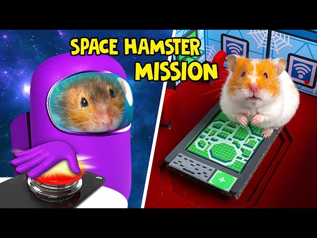 Jeux De Hamster Spatial 41128 Le Manège Volant Du Parc D'attractions