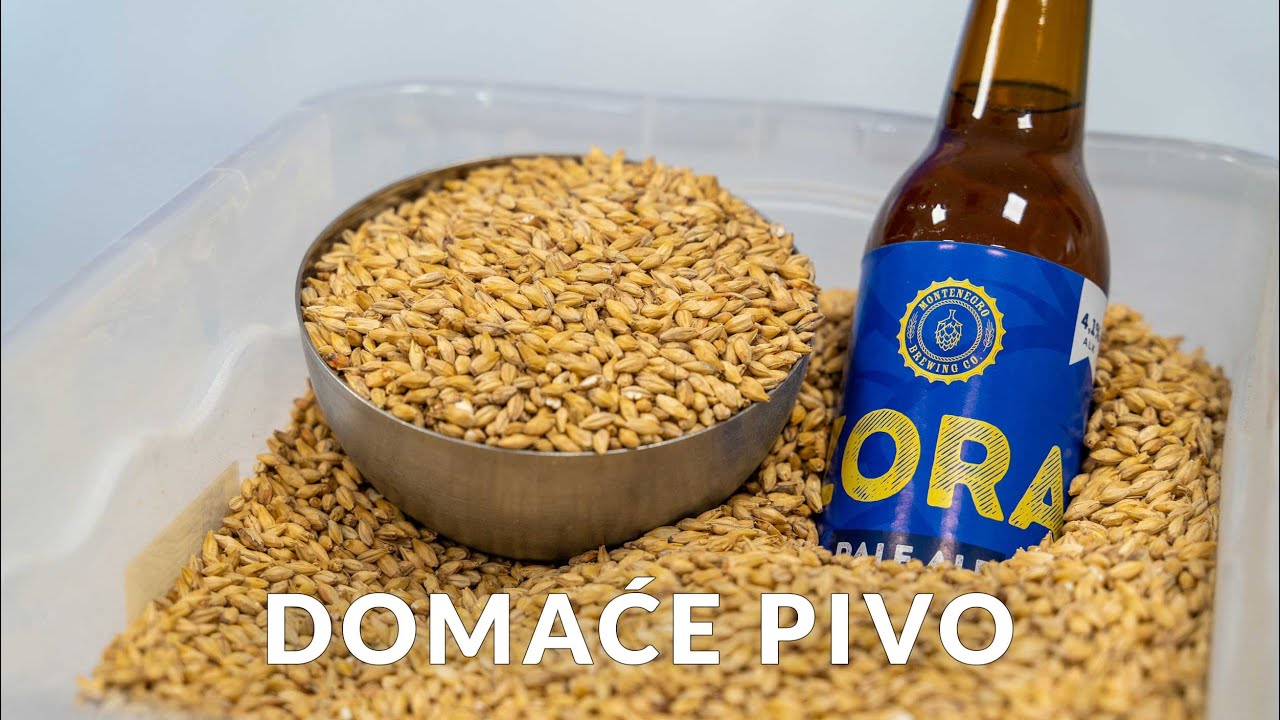 Kako napraviti domaće pivo? - YouTube