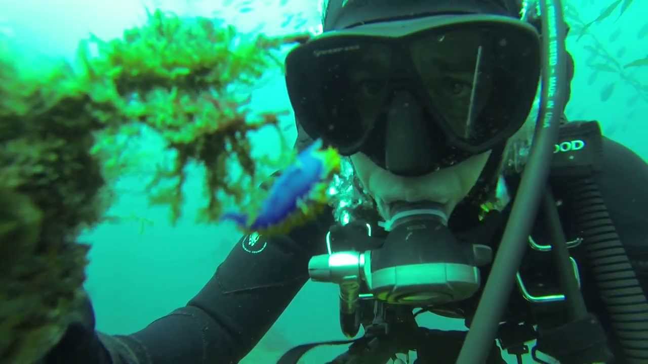 Descending Scuba Diving in Southern California - YouTube