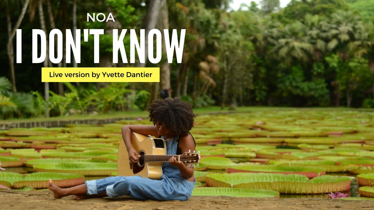 Noa - I don't know ( Cover by Yvette Dantier ) Unplugged Live Version ...