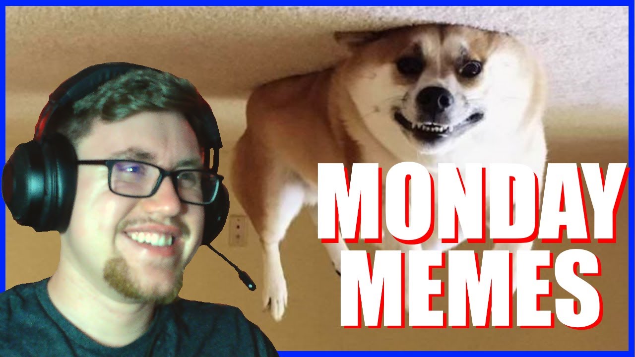 Monday Memes #1 | Funny Memes Reaction Compilation - YouTube