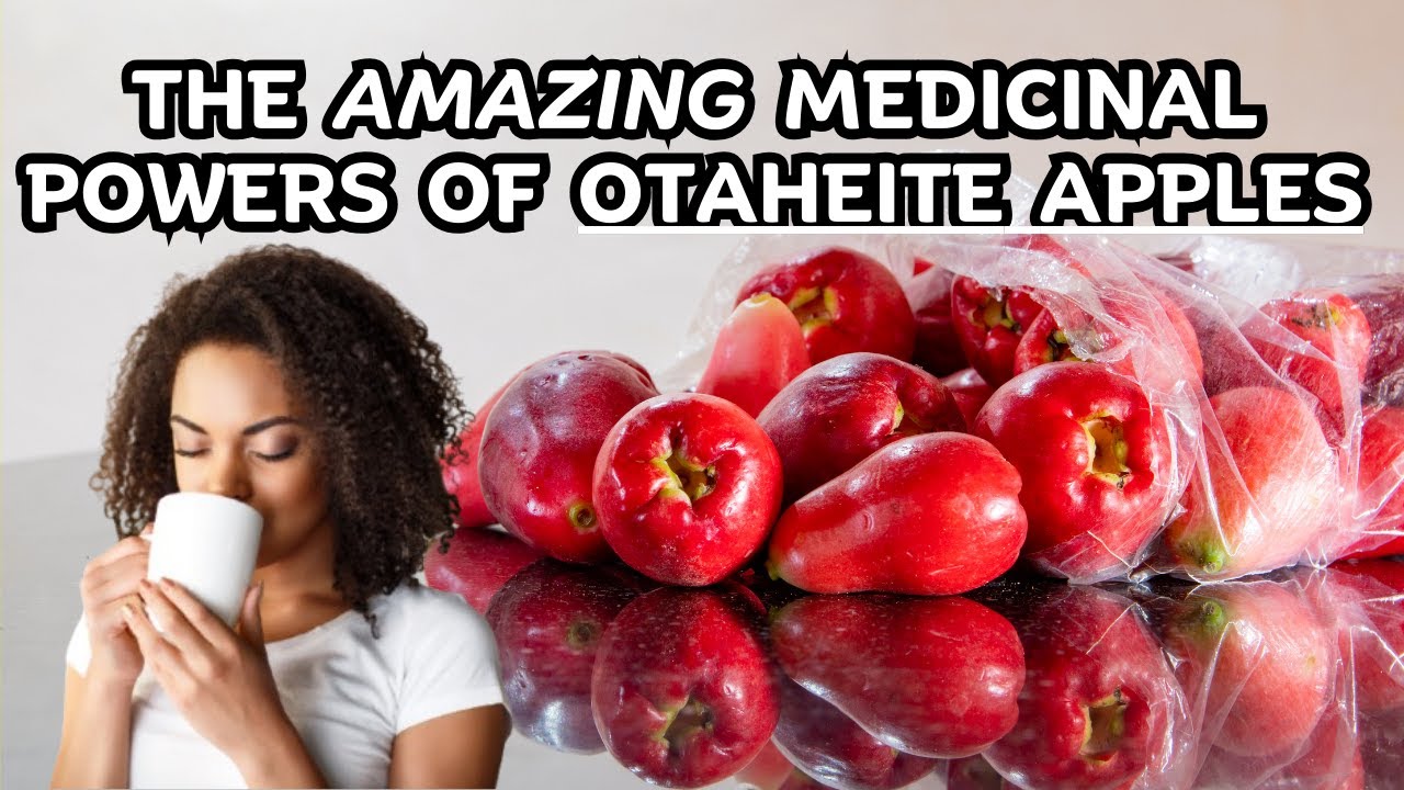 Otaheite Apples (Malay Apples) for Diabetes, Digestion + more / Earth's ...